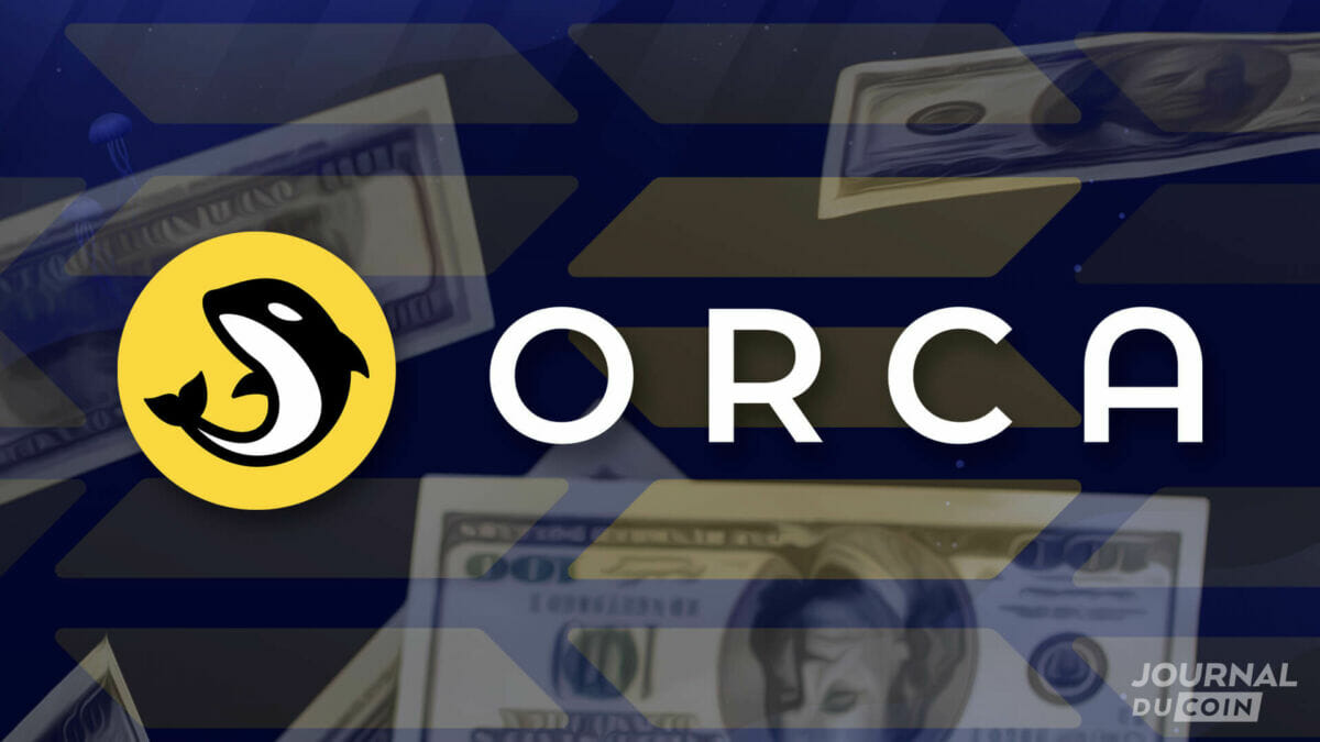 L'alternative à Ethereum : Orca lève 18 millions de $ pour booster la ...