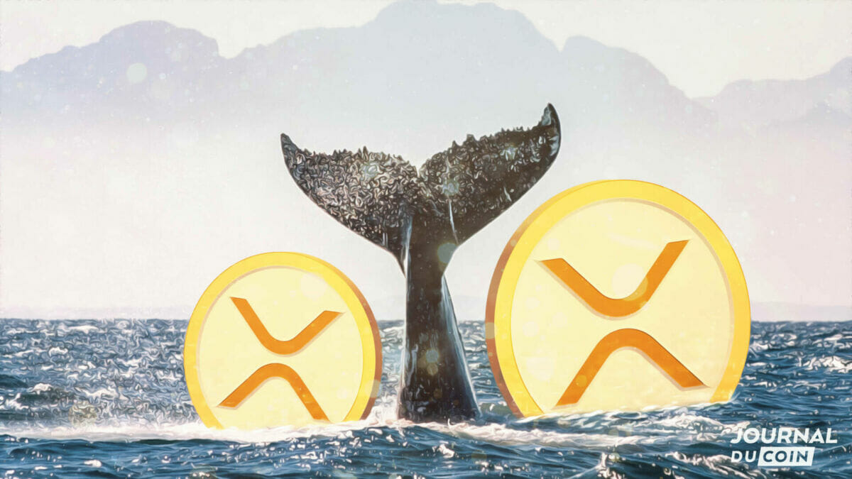 XRP prend 63 % en 24 h : Ripple se met au vert - Journal du Coin