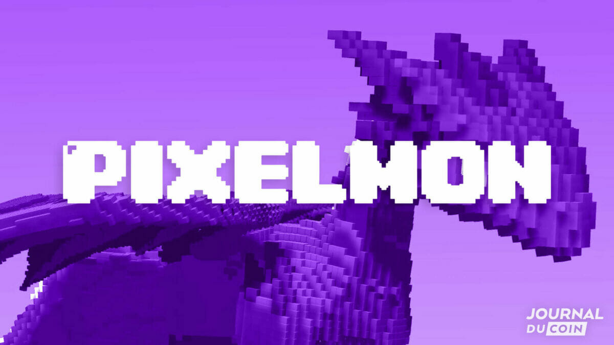 19 000$ pour un tas de pixels informe - La catastrophe des NFT Pixelmon ...