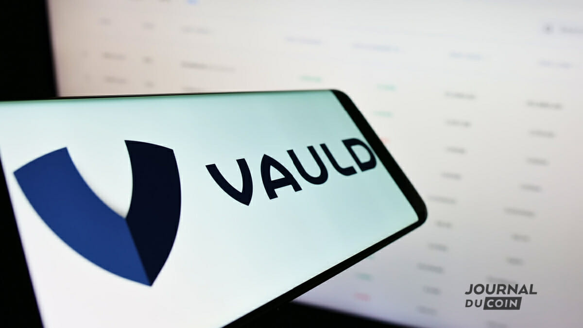 Hiver crypto : Vauld en apnée jusqu’au 28 février - Journal du Coin