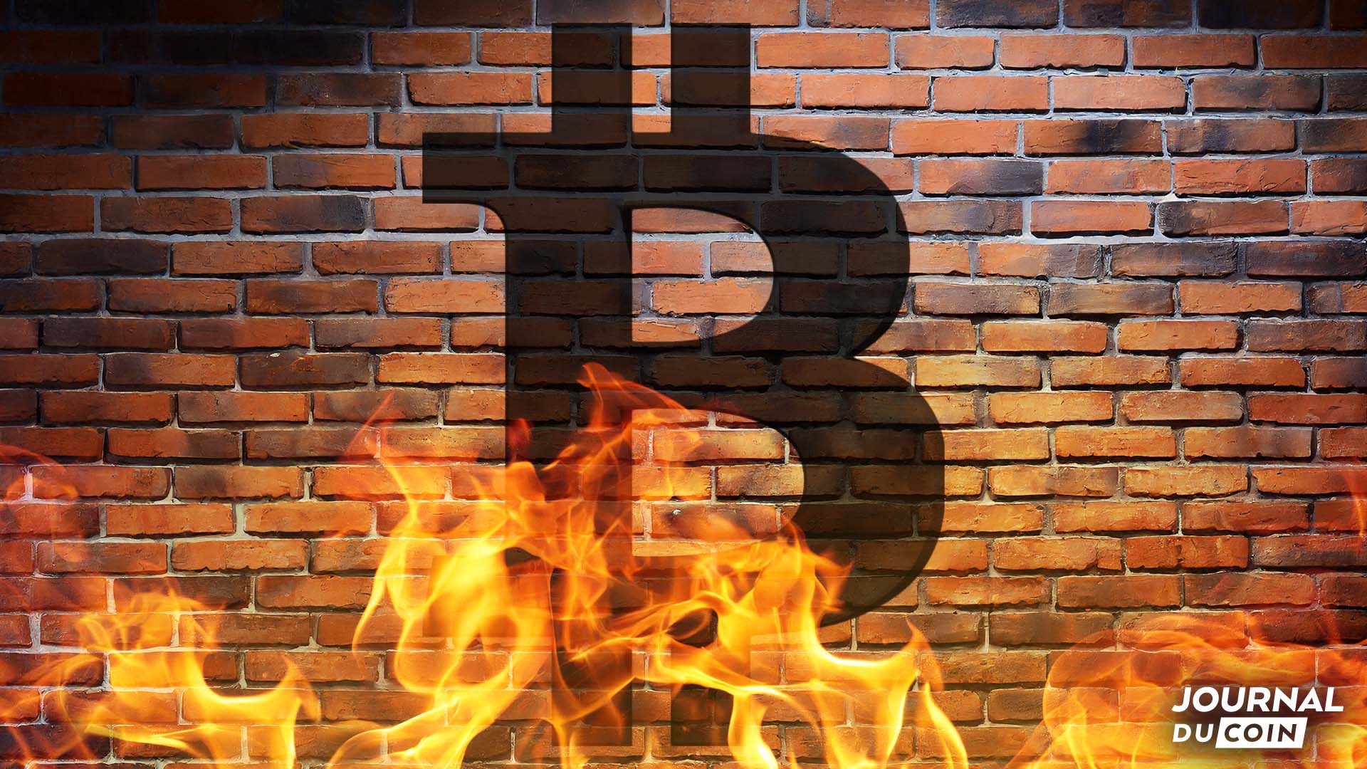 7 000 BTC perdus sur une clé USB ? L'ancien CTO de Ripple veut ses 220 ...