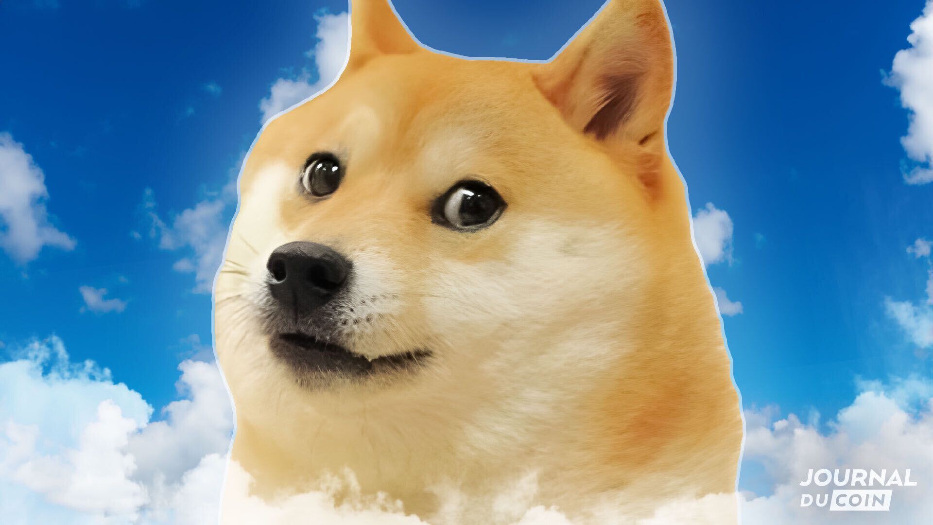 Kabosu, le chien à l’origine du logo de Dogecoin (DOGE), nous a quitté ...